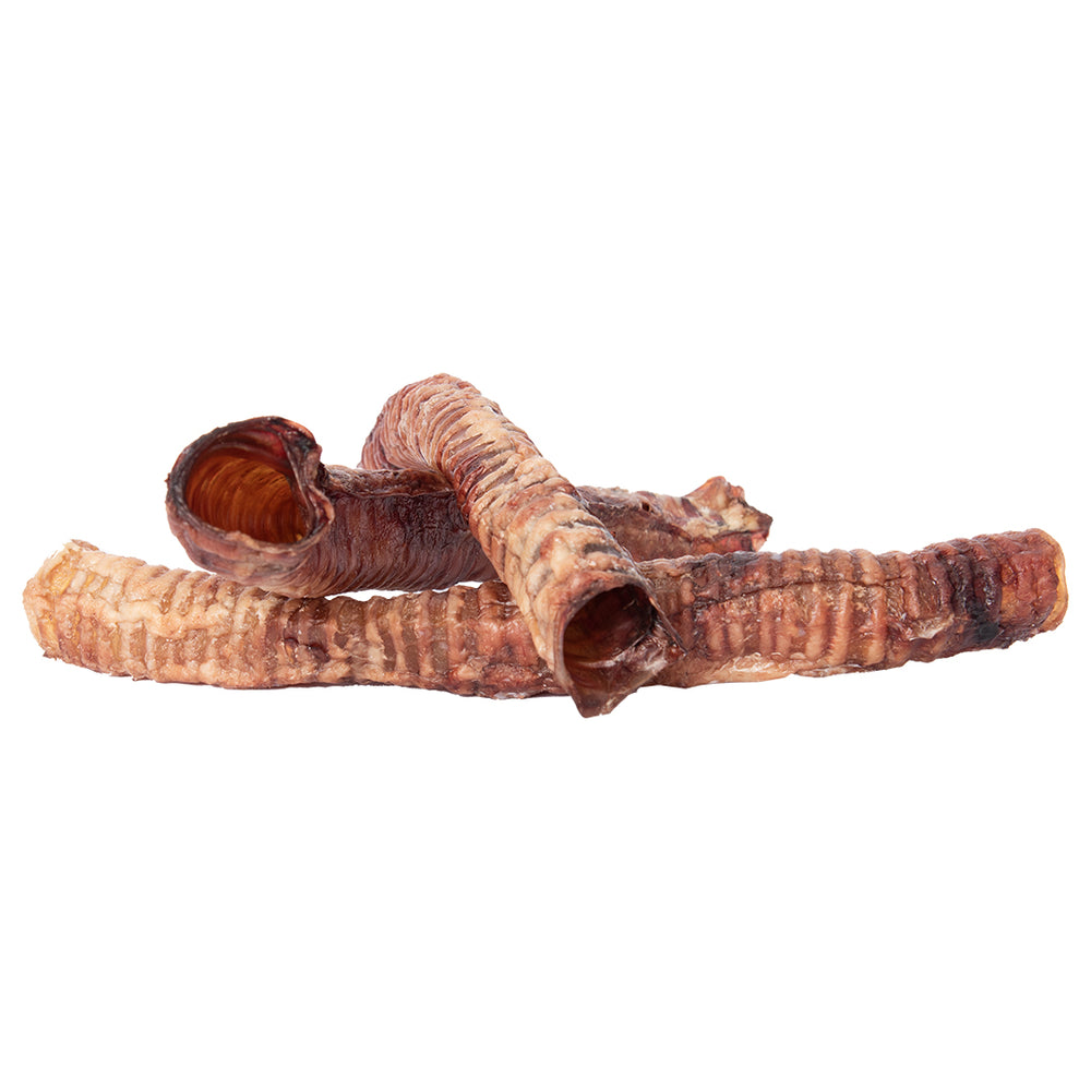 Trachea Chews for Dogs (12-14 Inch) | Made in the USA - Campfire Treats